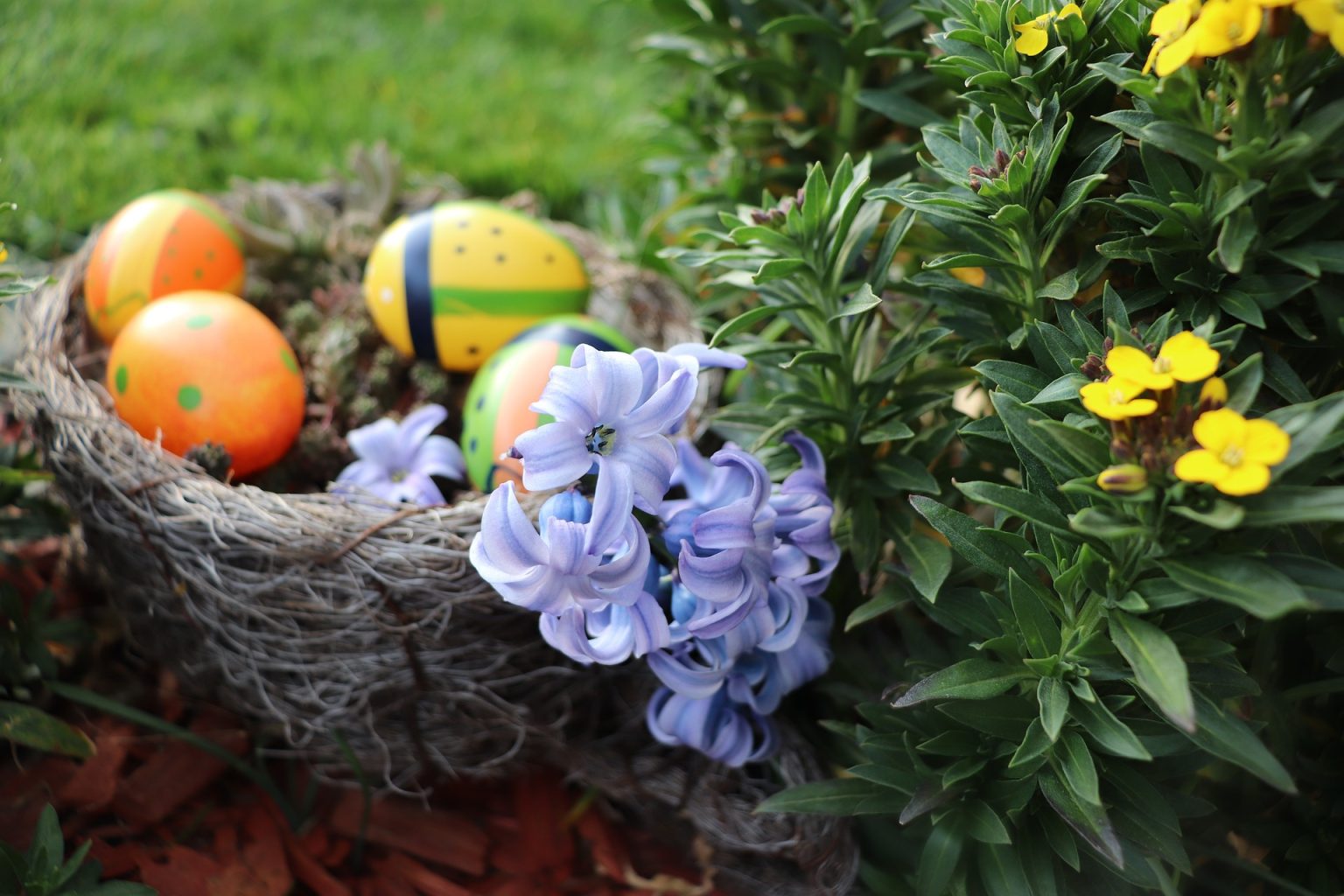 Grand Blanc | Taboon